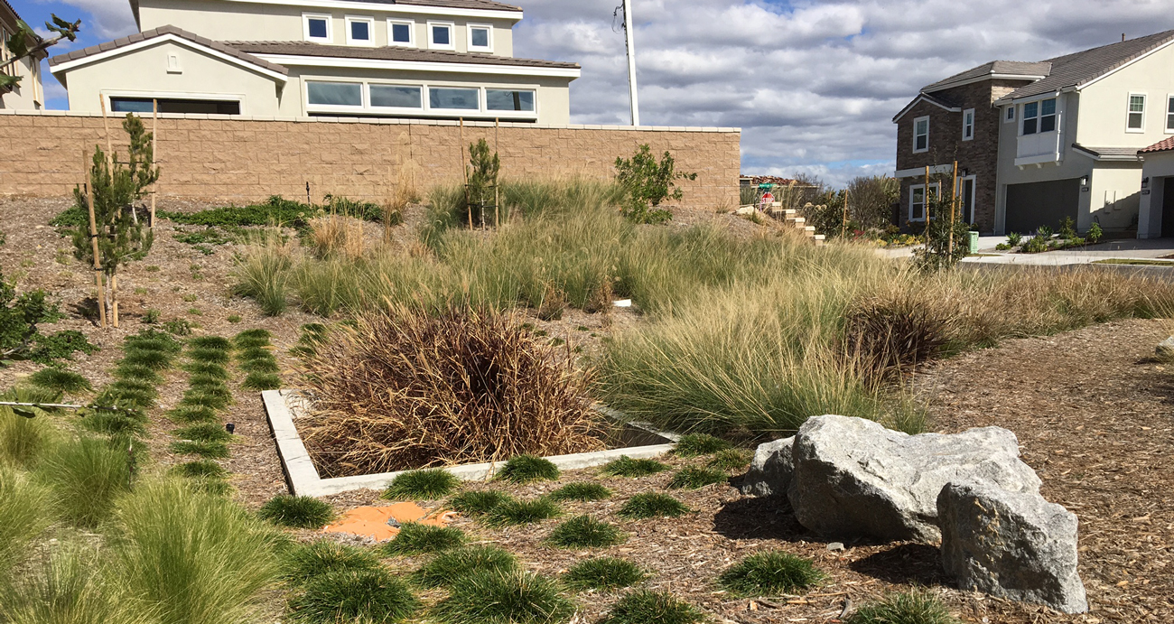 Low-Impact Development Bioretention Systems