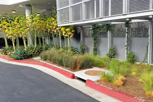 Modular Wetlands Linear Stormwater Bioretention System
